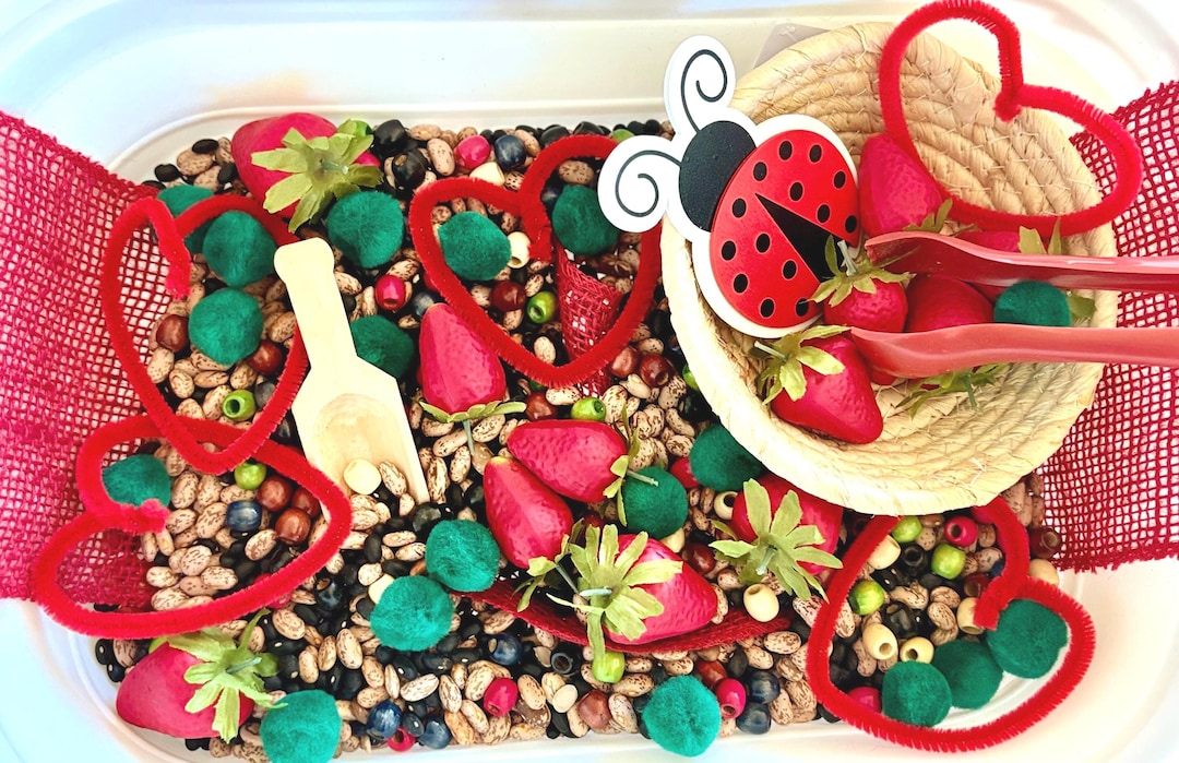 Strawberry Picking Sensory Bin Kit Filler Garden Sensory Bin Spring ...