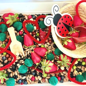 Strawberry Picking Sensory Bin Kit Filler Garden Sensory Bin Spring ...