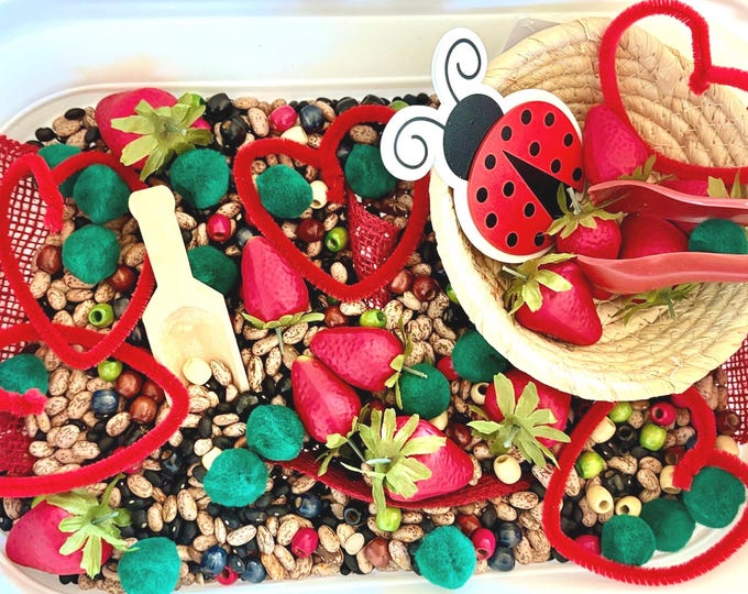 Color Sorting Sensory Bin | Rainbow Colors Sensory | Color Matching ...