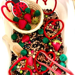 Strawberry Picking Sensory Bin Kit Filler Garden Sensory Bin Spring ...