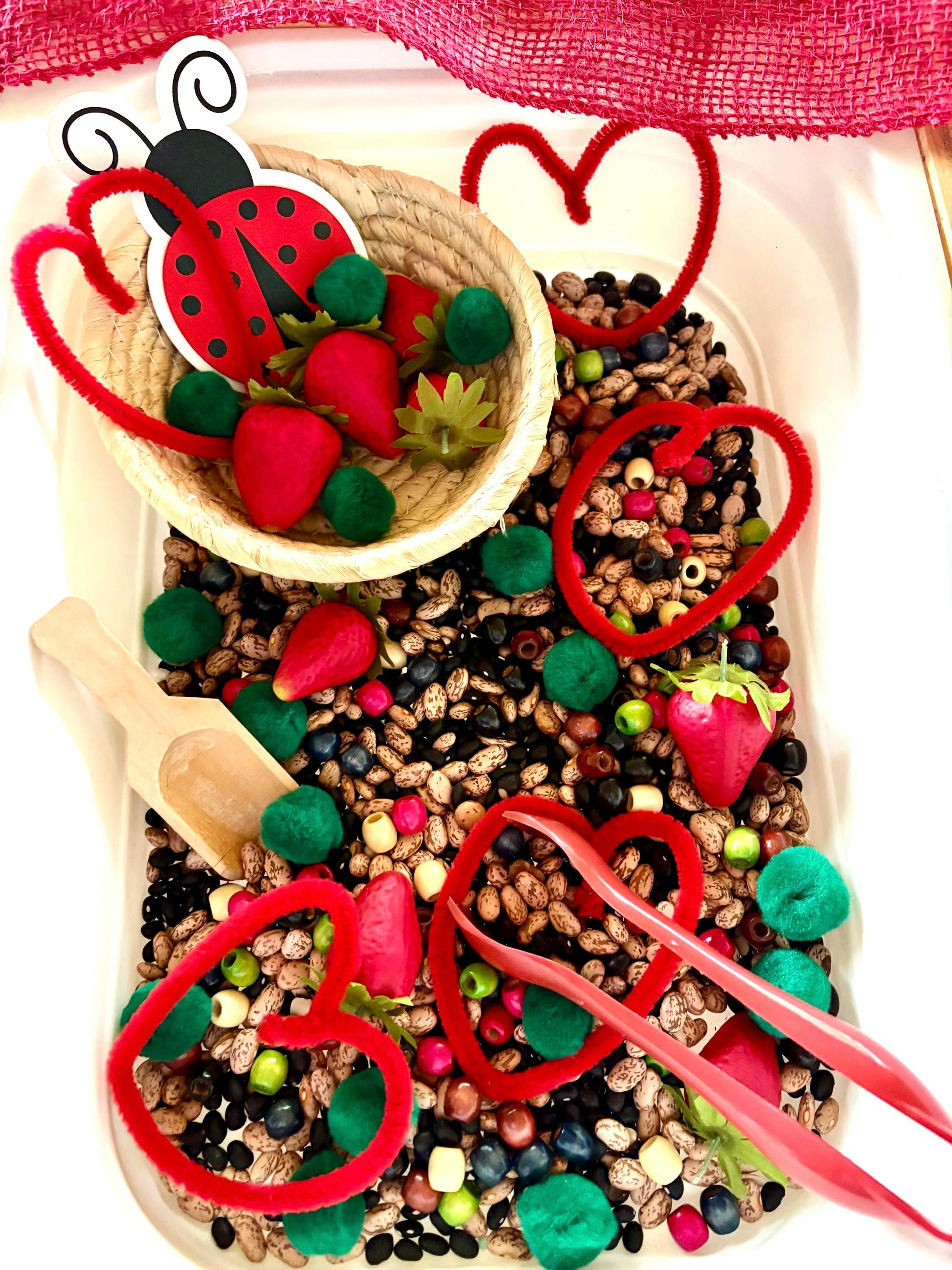 Strawberry Picking Sensory Bin Kit Filler Garden Sensory Bin Spring ...