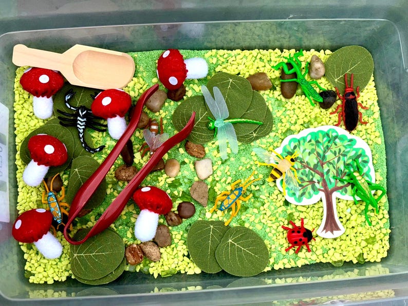 Bug Sensory Bin Filler Earthy Sensory Activity Flower Mushroom ...