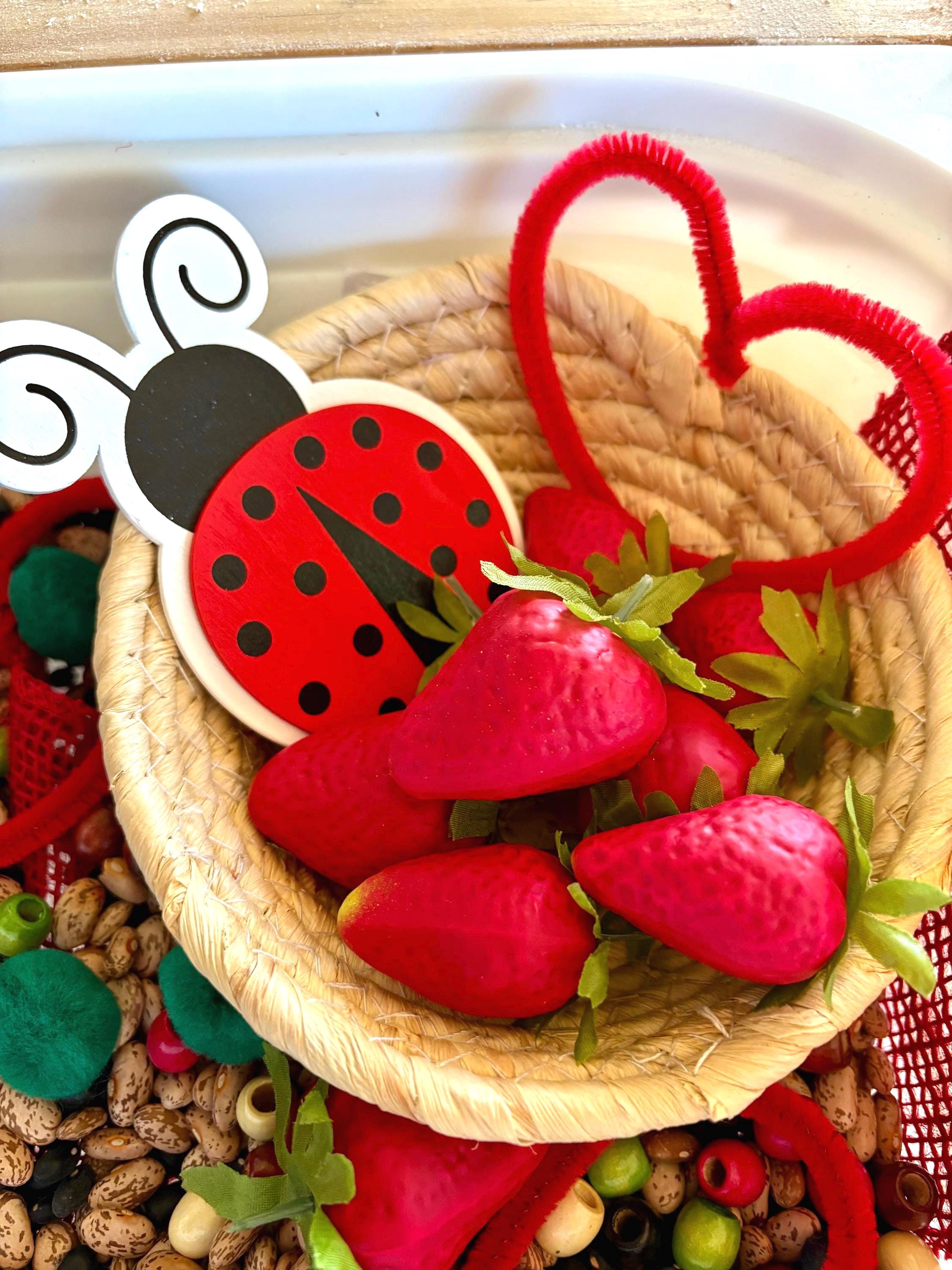 Strawberry Picking Sensory Bin Kit Filler Garden Sensory Bin Spring ...