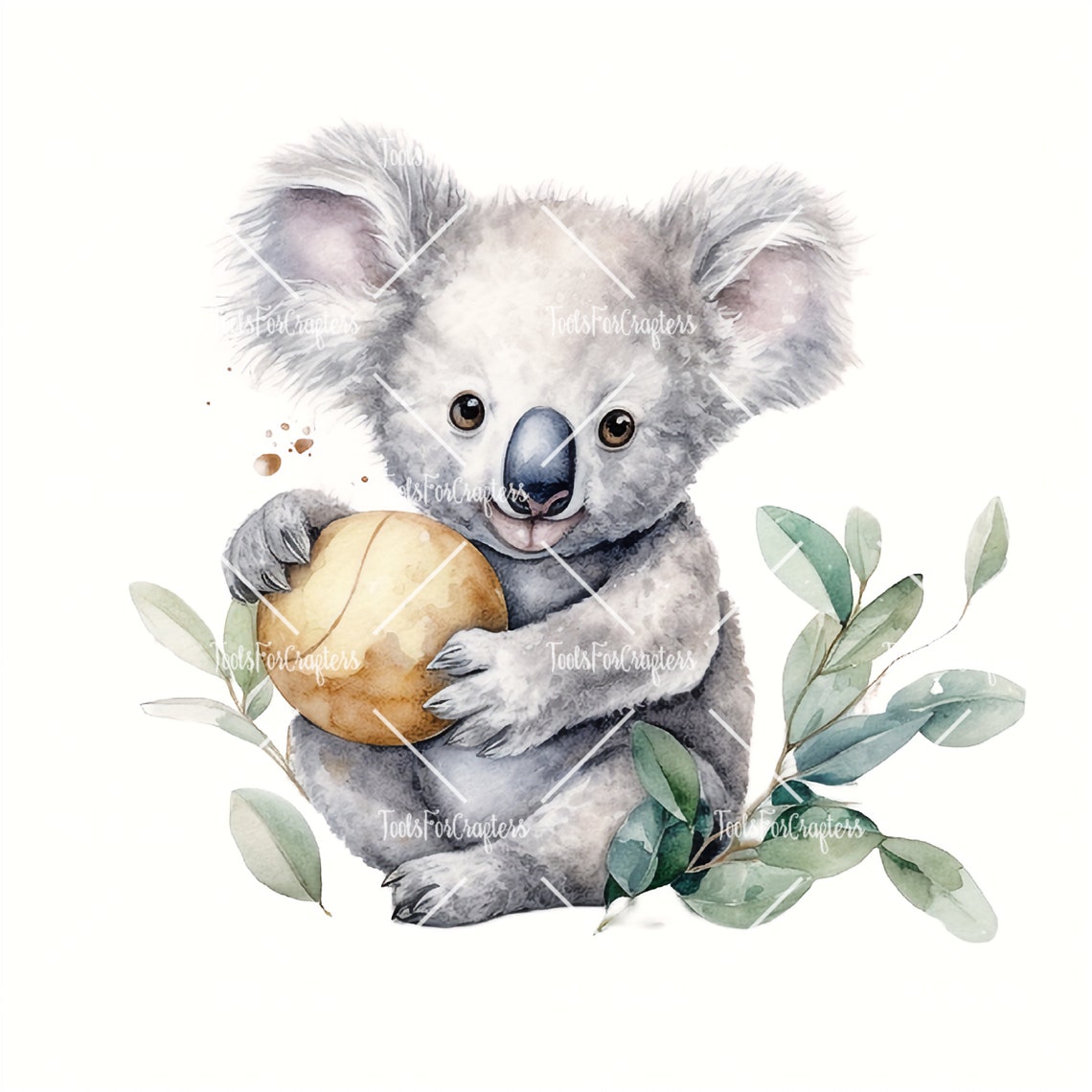 Koala Bear and Ball Clipart 20 High Quality Jpgs Digital - Etsy