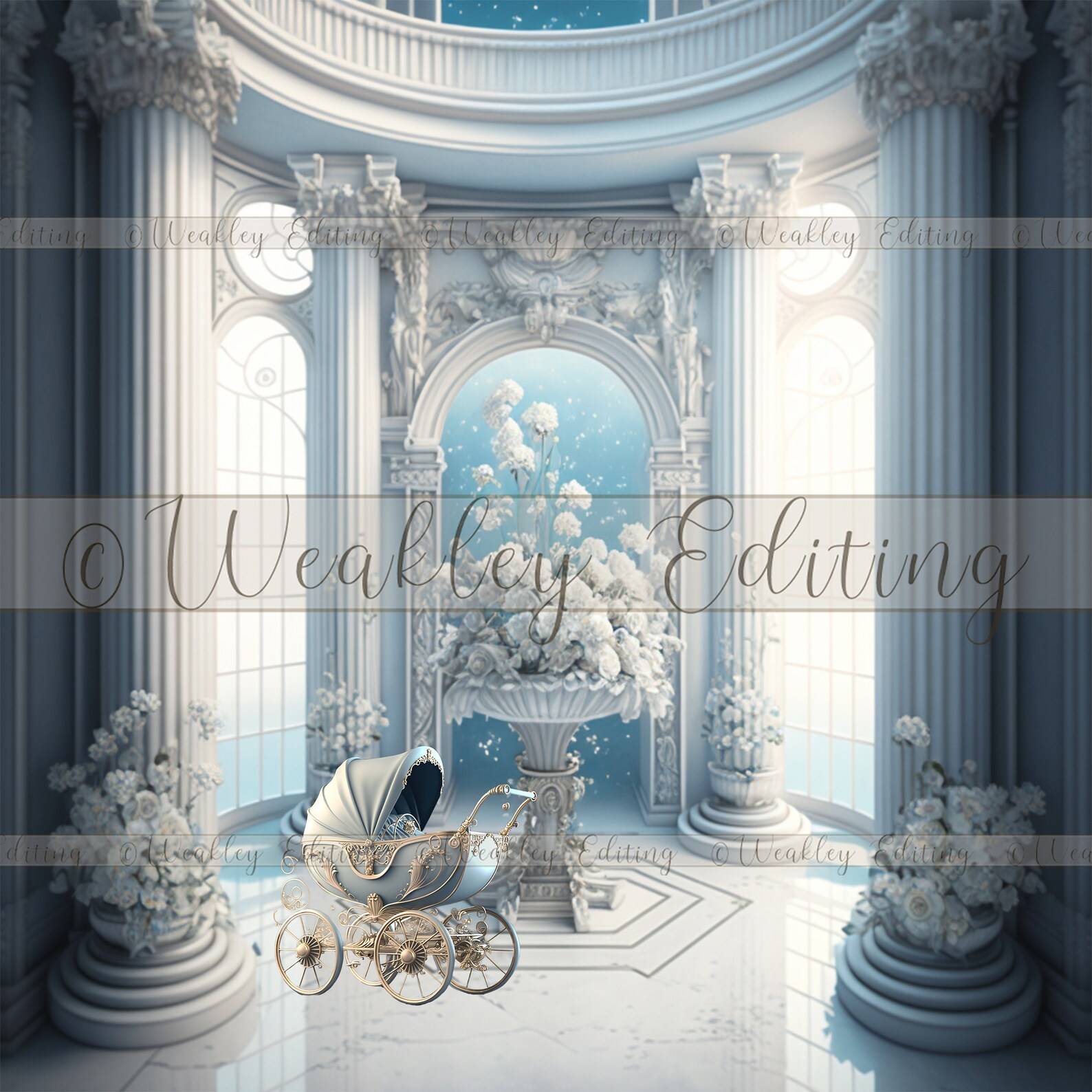 Blue Vintage Baby Carriage, Individual, Digital Overlay, Photoshop ...