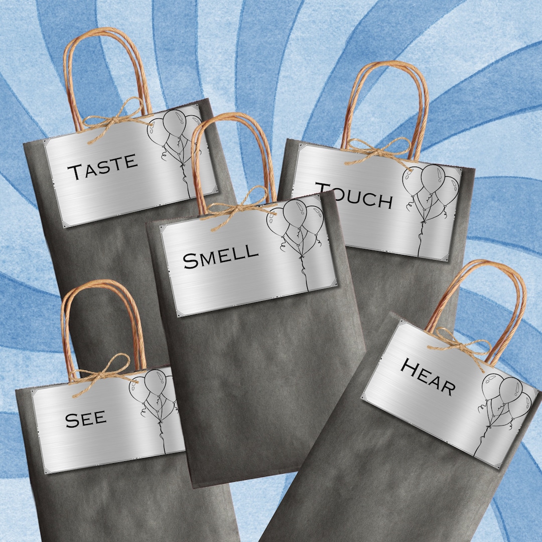 5 Senses Gift Bags for Him Five Senses Tags Set Gifts for Husband ...
