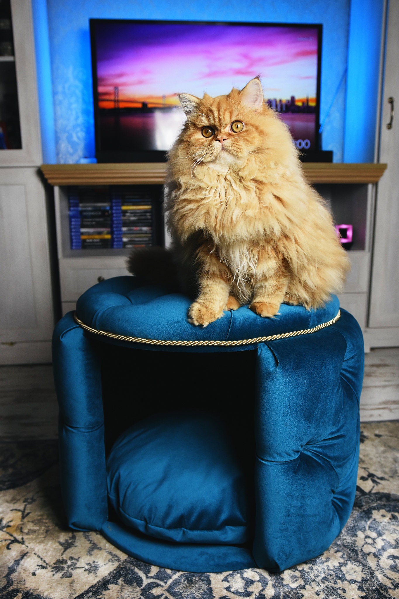 Velvet Cat House Bed Ottoman Chesterfield Cats Pouf Dog Cave Velour ...