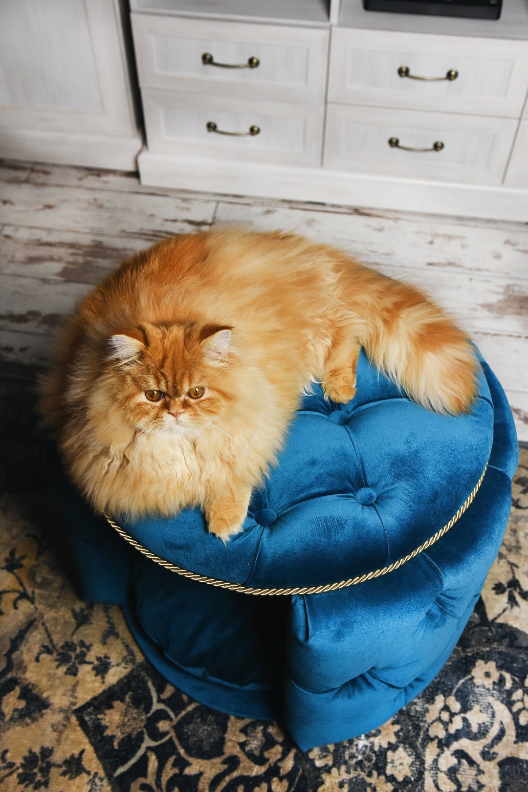 Velvet Cat House Bed Ottoman Chesterfield Cats Pouf Dog Cave Velour ...