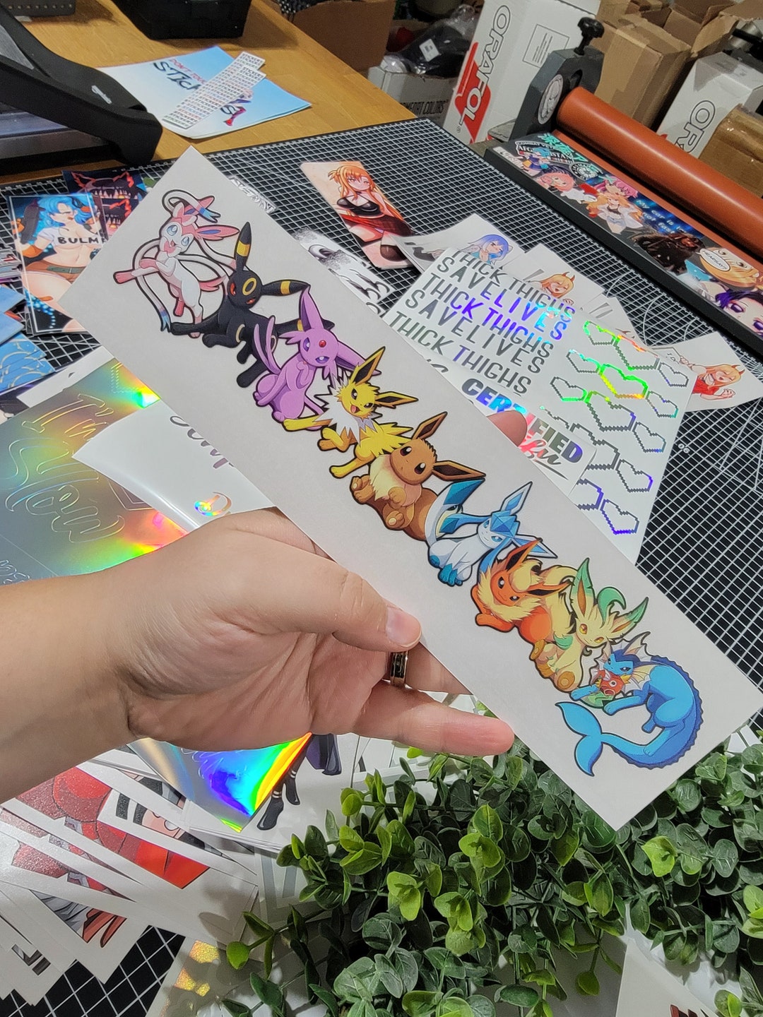 Evolutions Vinyl Decal - Weatherproof & UV Resistant - Good on Any Flat ...