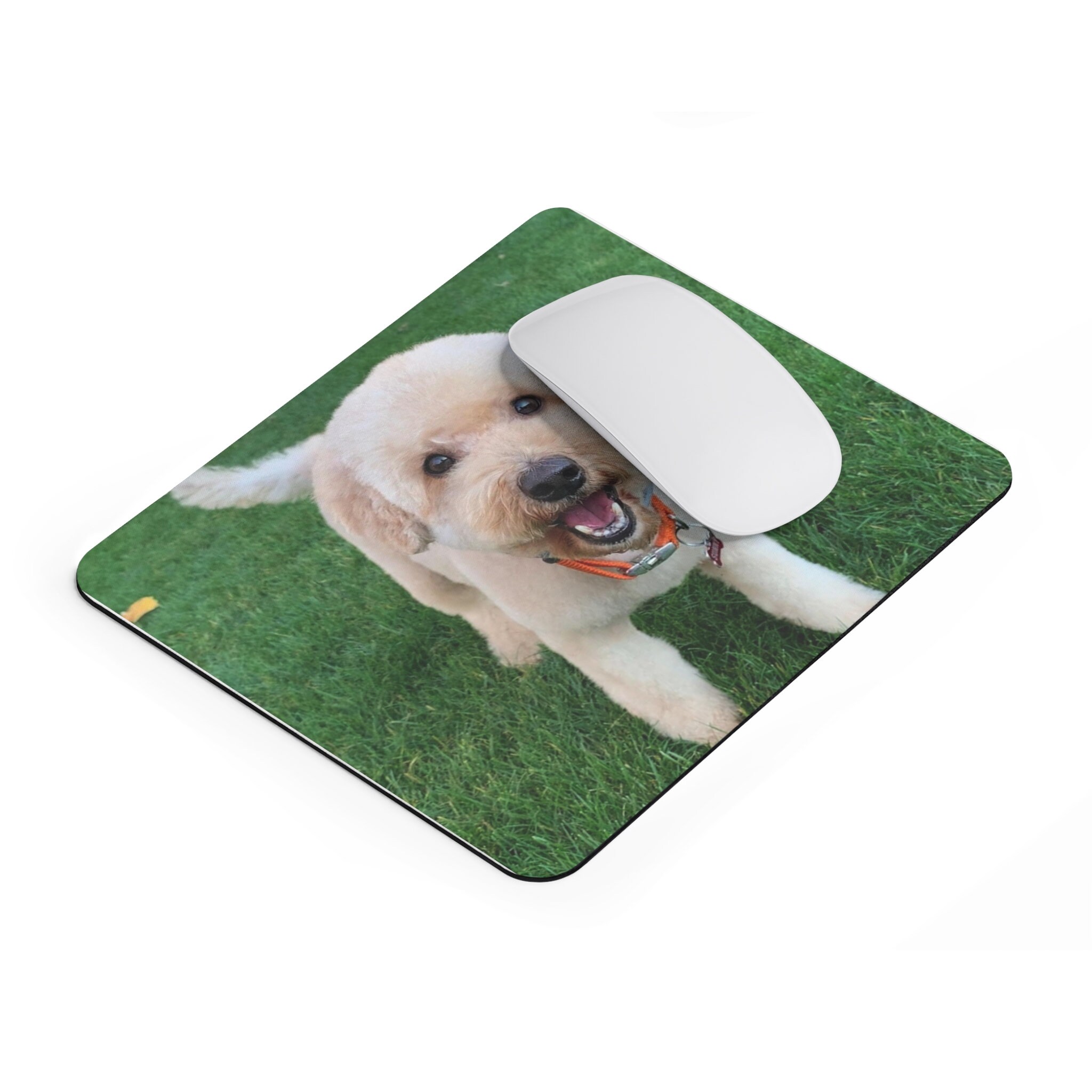 Apricot Poodle Dog Mousepad, Small Dog Breed Admirers, Animal Lovers ...
