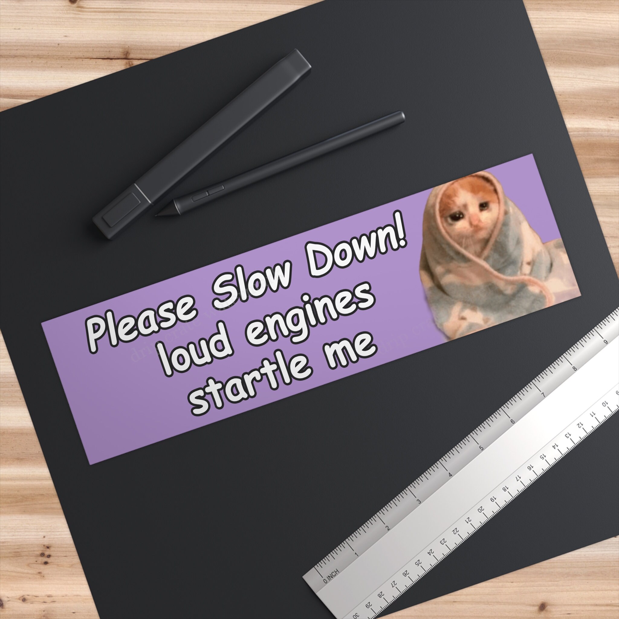 Sad Cat please Slow Down Loud Engines Startle Me - Etsy