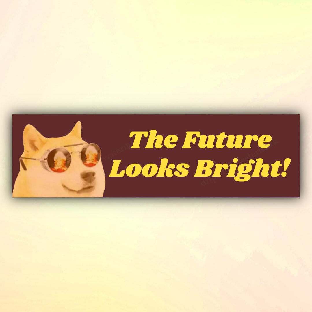 Funny Bumper Sticker the Future Looks Bright - Etsy