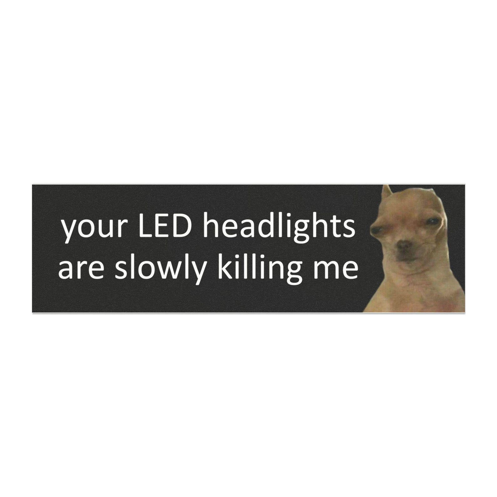 Meme Car Magnet "your LED Headlights Are Slowly Killing Me", Chihuahua ...