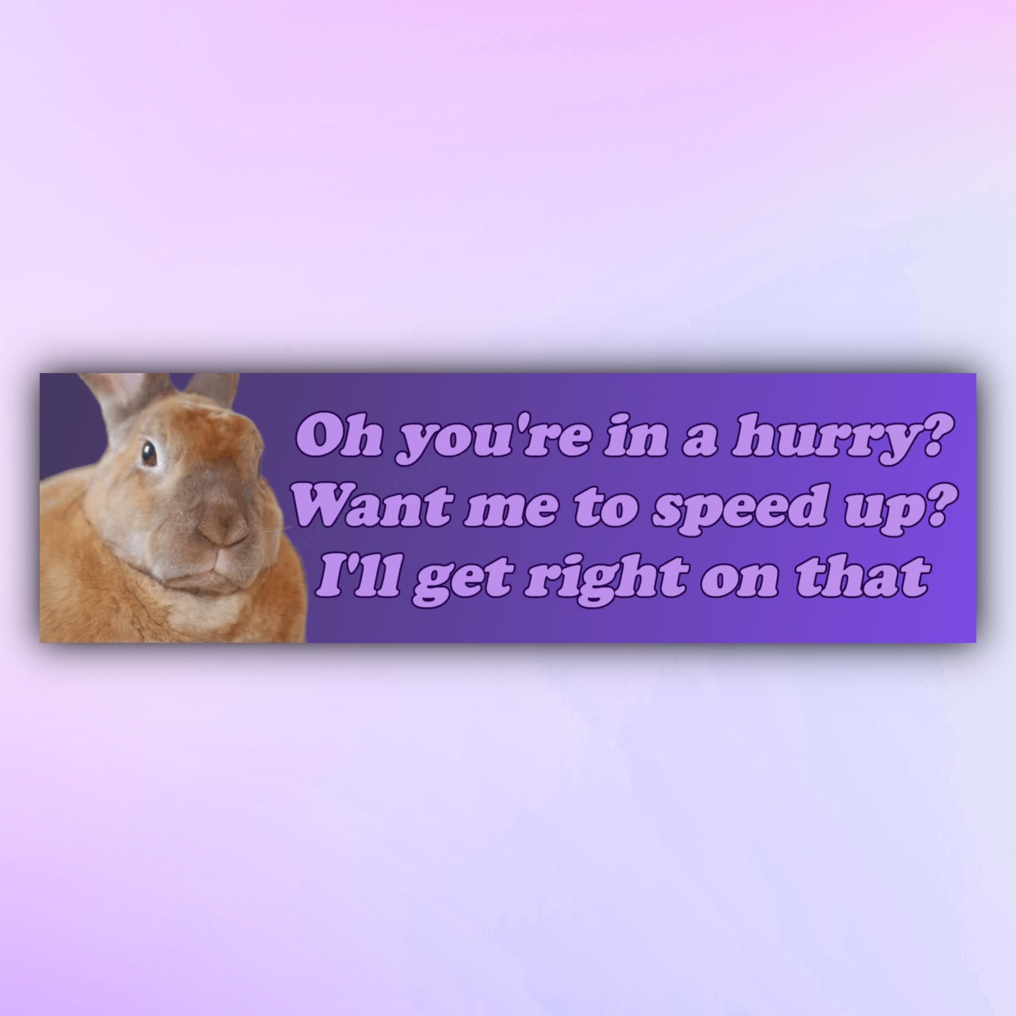 Fat Rabbit Memes Chat With Fat Bunny | Character.ai | Personalized AI
