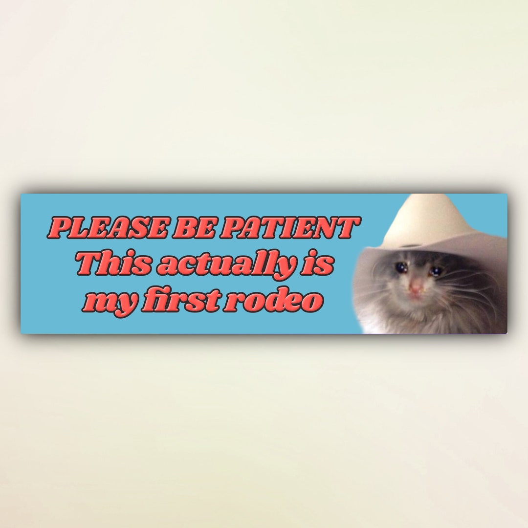 Funny Cat Bumper Sticker "please Be Patient This Actually is My First ...