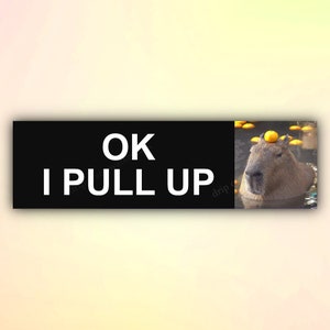 Meme Capybara Bumper Sticker "ok I Pull Up", Funny Gen Z Sticker, Joke ...