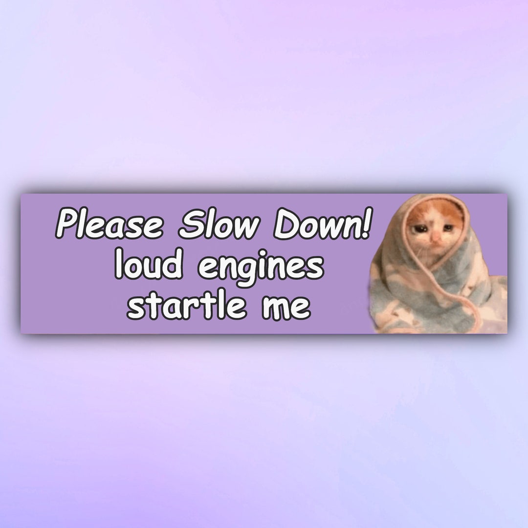 Sad Cat please Slow Down Loud Engines Startle Me Funny Bumper Sticker ...
