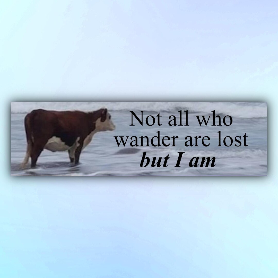 Funny Cow Meme Bumper Sticker "not All Who Wander Are Lost but I Am ...