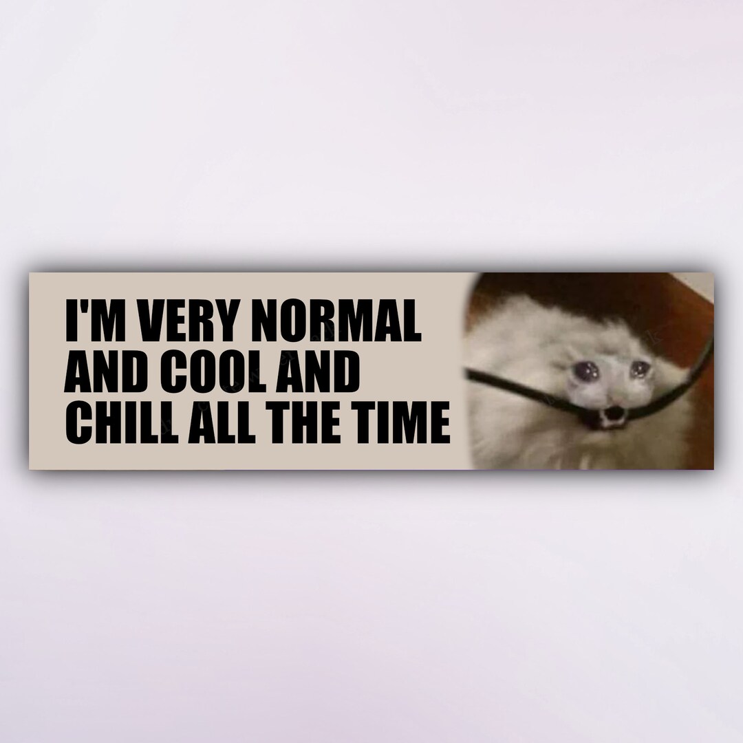 Funny Cat Bumper Sticker "i'm Very Normal and Cool and Chill All the ...