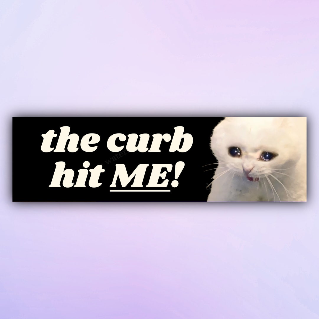 Meme Bumper Sticker "the Curb Hit Me!" Funny Cat Car Stickers, Unhinged ...