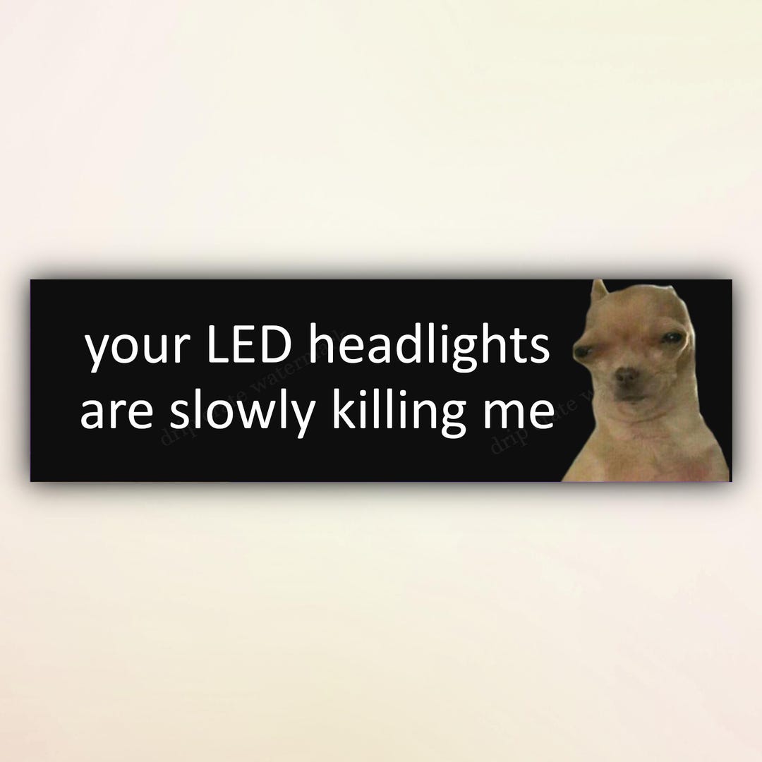 Funny Dog Bumper Sticker "your LED Headlights Are Slowly Killing Me ...