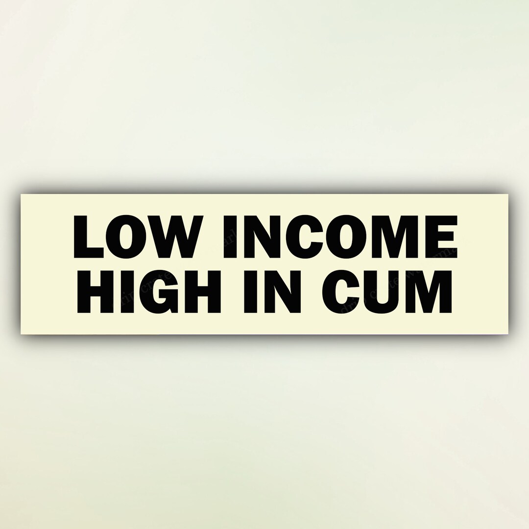 Funny Bumper Sticker "low Income High in Cum", Gen Z Meme Car Sticker ...