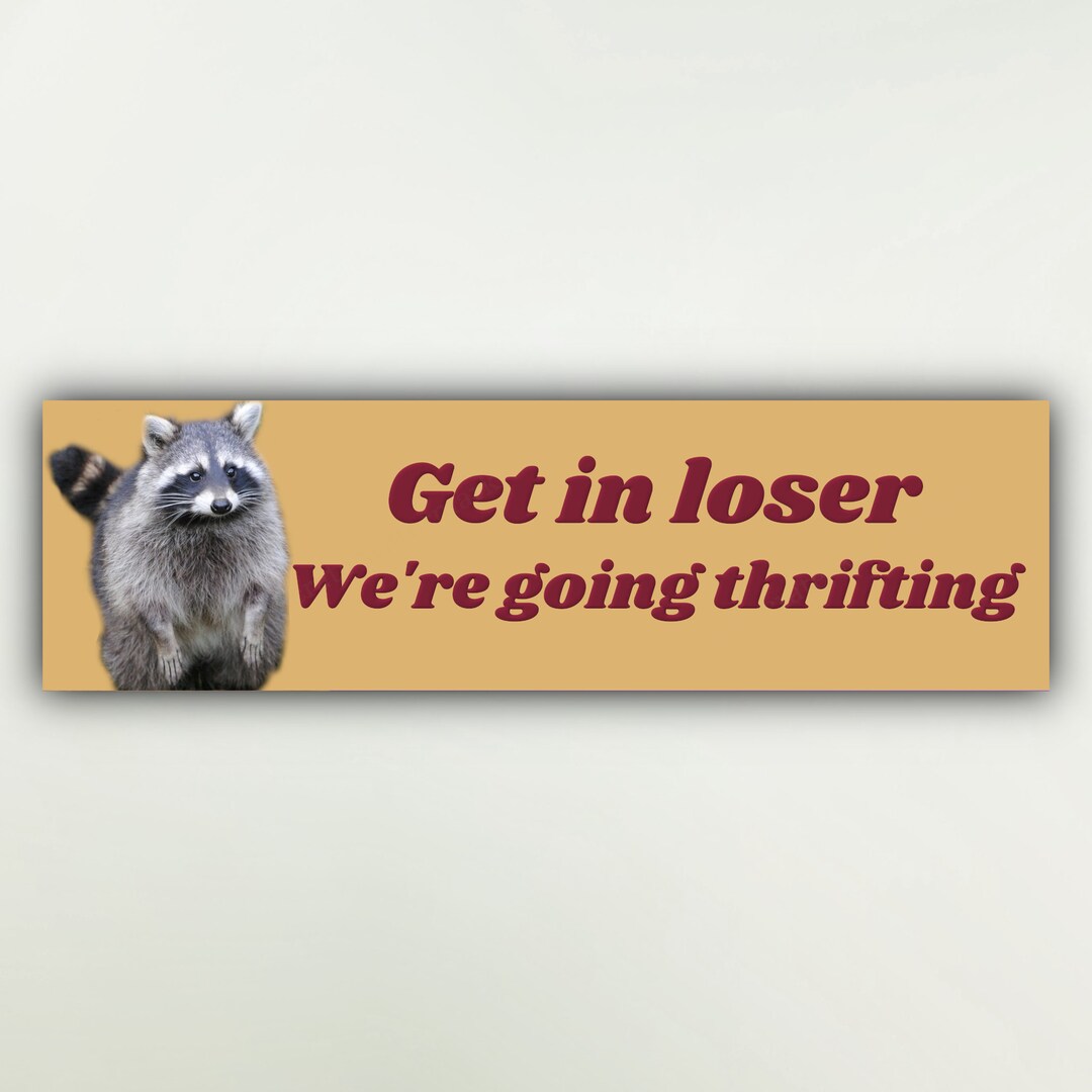 Funny Raccoon Bumper Sticker "get in Loser We're Going Thrifting", Meme ...