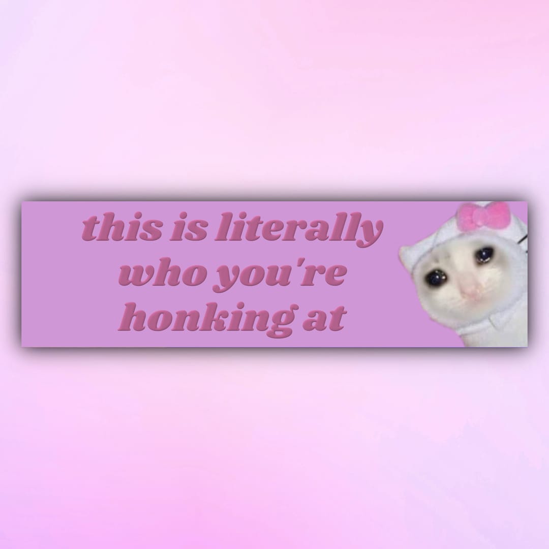 Funny Bumper Sticker "this is Literally Who You're Honking At", Cute ...
