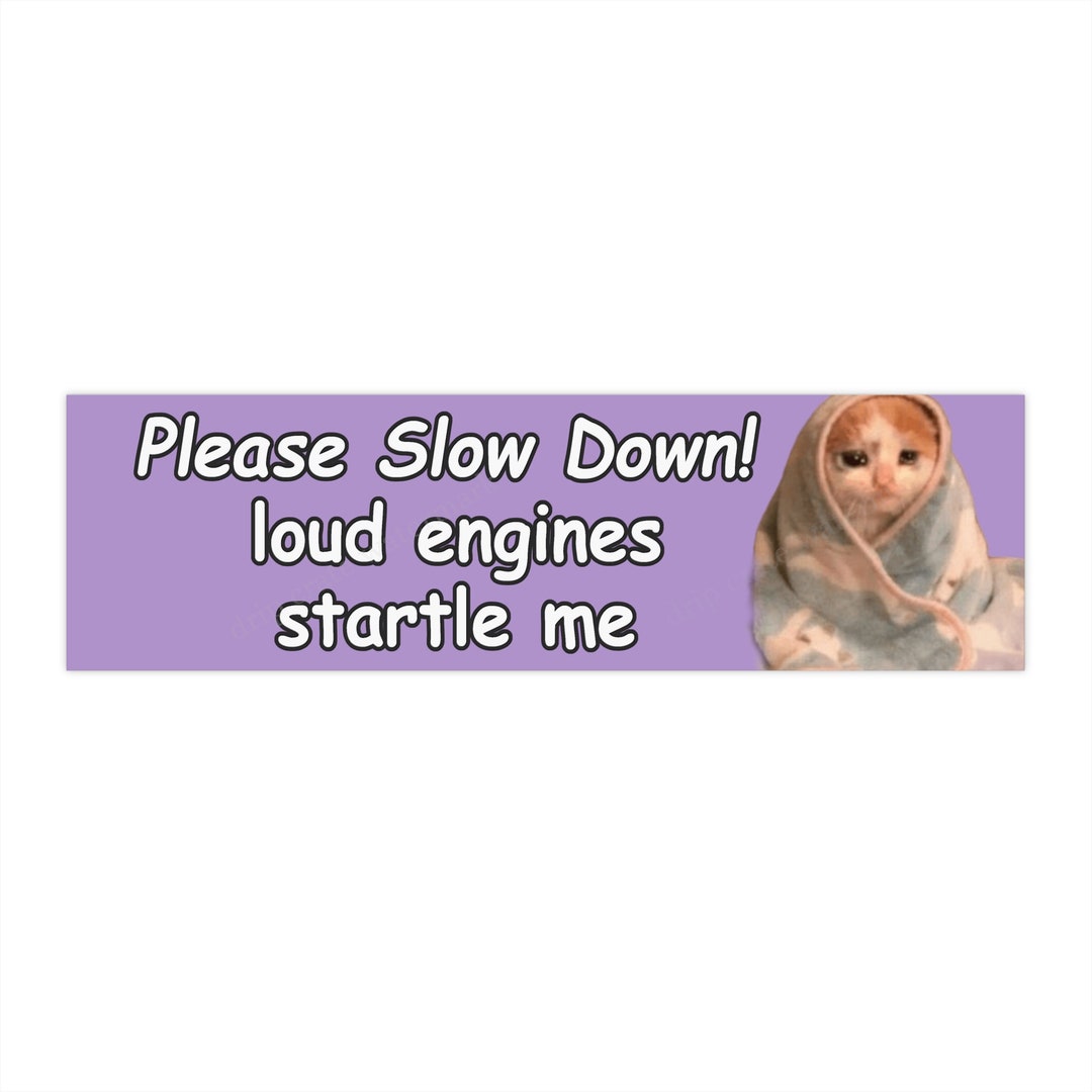 Sad Cat please Slow Down Loud Engines Startle Me - Etsy