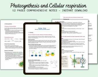 Photosynthesis Vs. Cellular Respiration Guided Notes and Diagrams ...