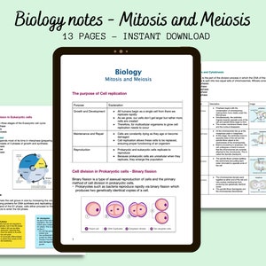 Biology Notes - MITOSIS AND MEIOSIS - Etsy