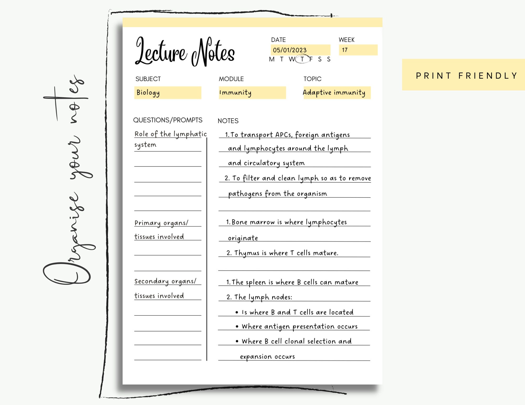 Printable Lecture Notes, Note Taking Template, Planner, College ...