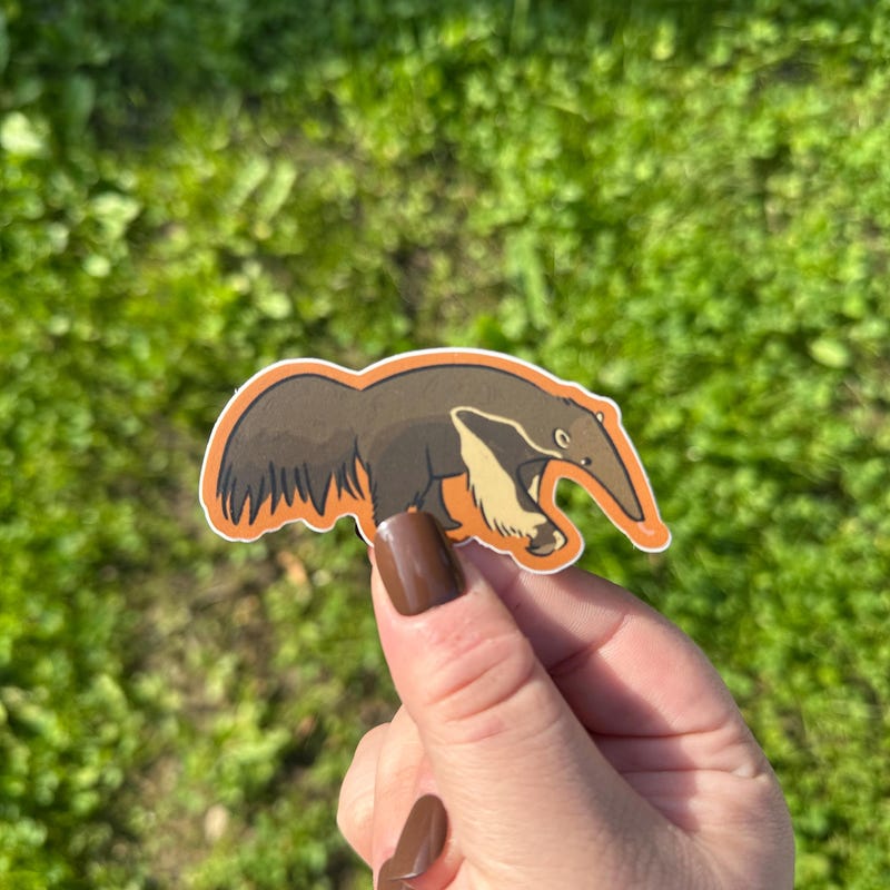 Anteater - Etsy