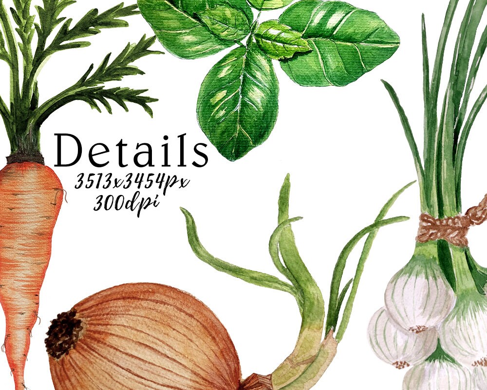Watercolor Clipart Vegetables,healthy,food,corn,broccoli, Eggplant ...