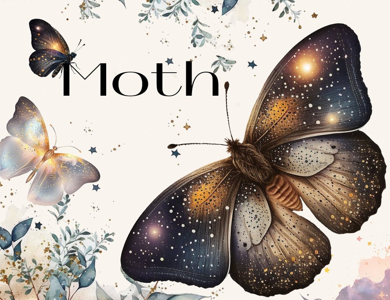 Watercolor Clipart Moth, 8 Png, Transparent Background,night,butterfly ...