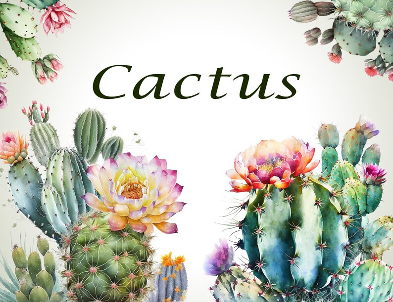 Watercolor Clipart Succulent Cactus, Sublimation Isolated on ...