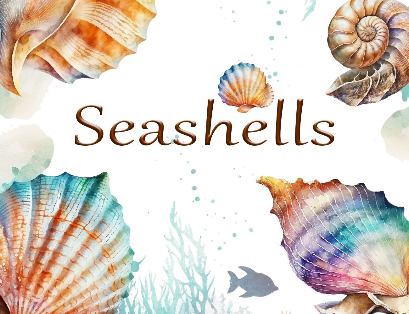 Seashells, Watercolor Clipart, 10 Png, Transparent Background - Etsy