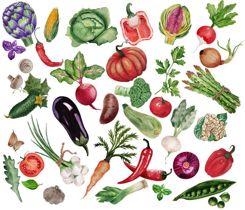Watercolor Clipart Vegetables,healthy,food,corn,broccoli, Eggplant ...