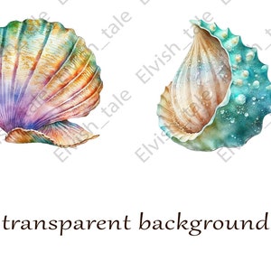 Seashells, Watercolor Clipart, 10 Png, Transparent Background - Etsy
