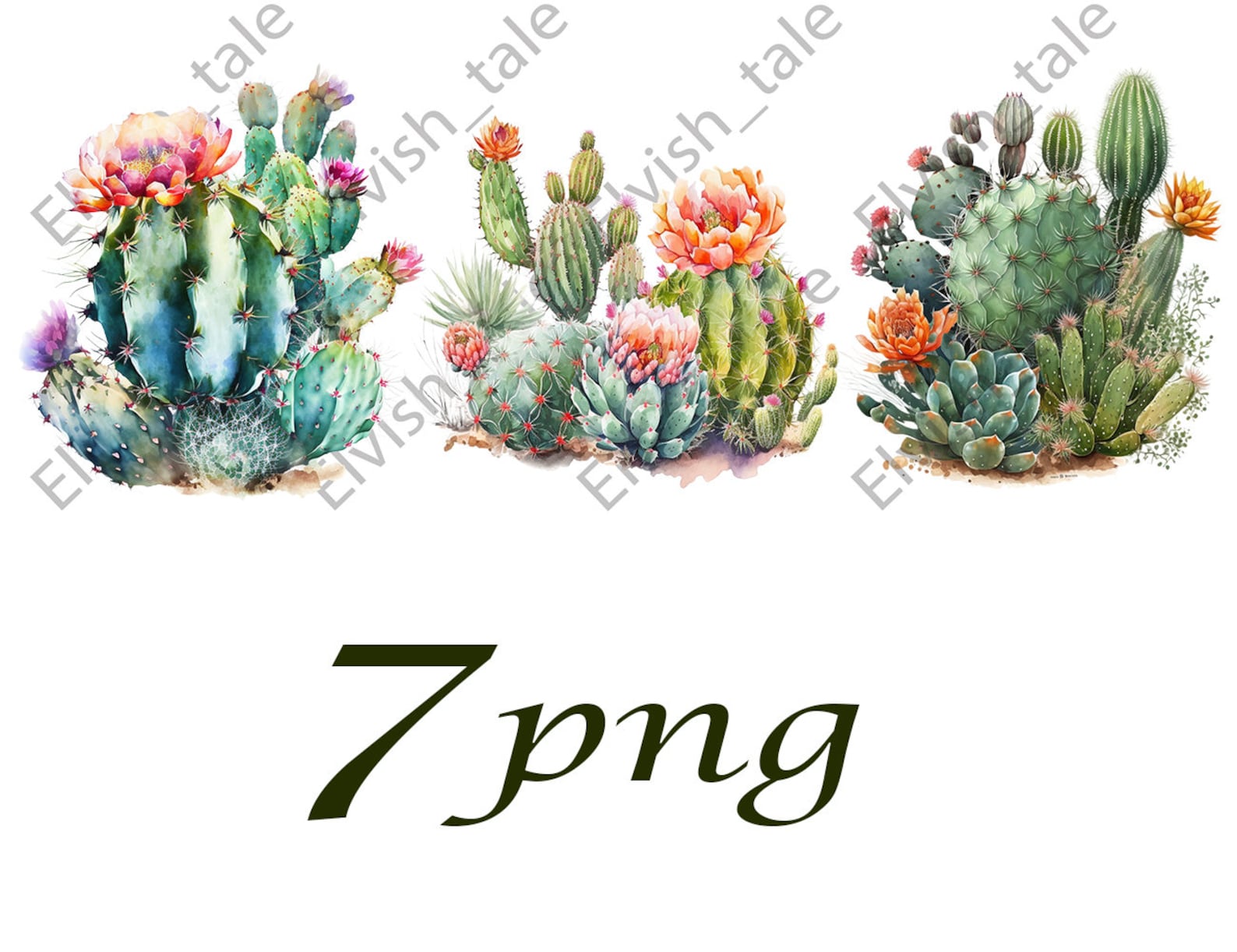 Watercolor Clipart Succulent Cactus, Sublimation Isolated on ...