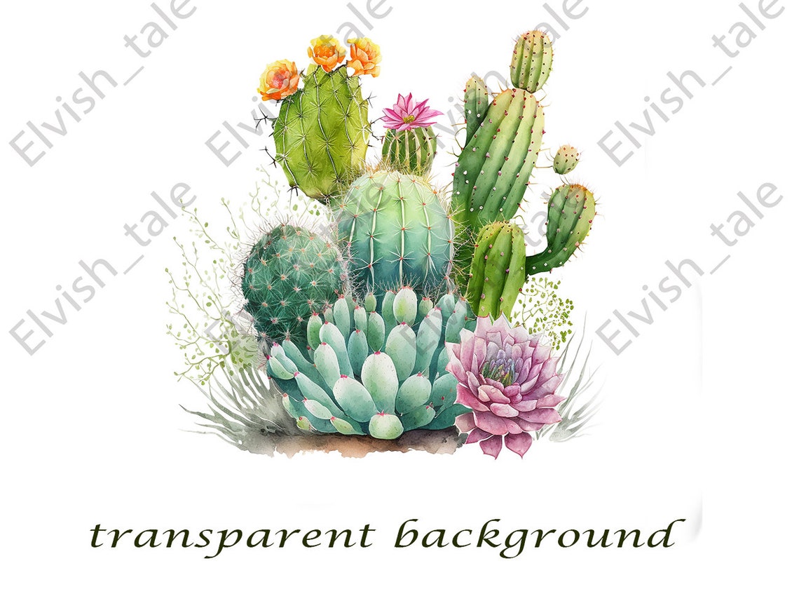 Watercolor Clipart Succulent Cactus Sublimation Isolated on - Etsy