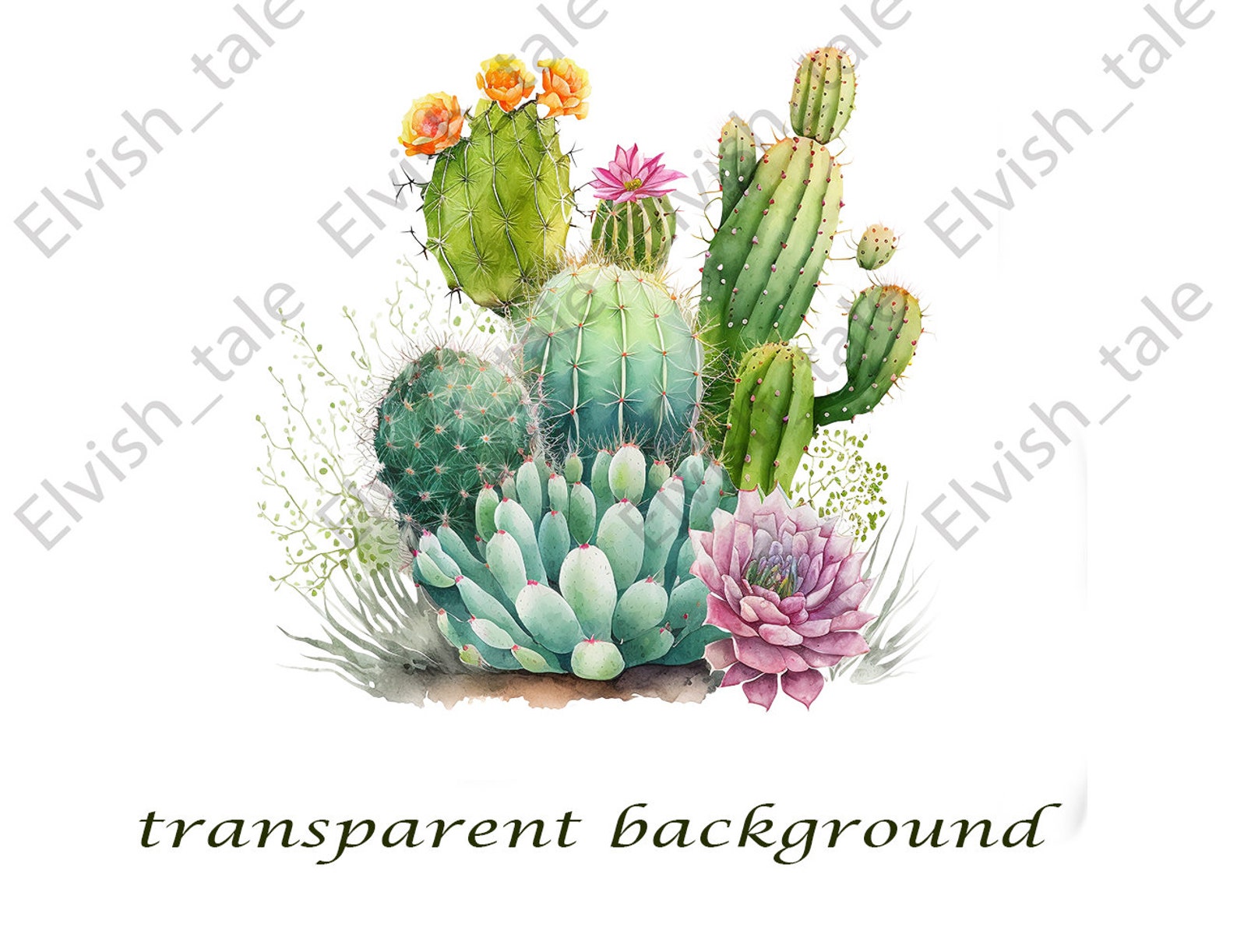 Watercolor Clipart Succulent Cactus, Sublimation Isolated on ...