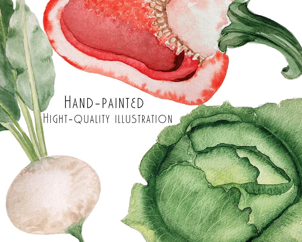 Watercolor Clipart Vegetables,healthy,food,corn,broccoli, Eggplant ...