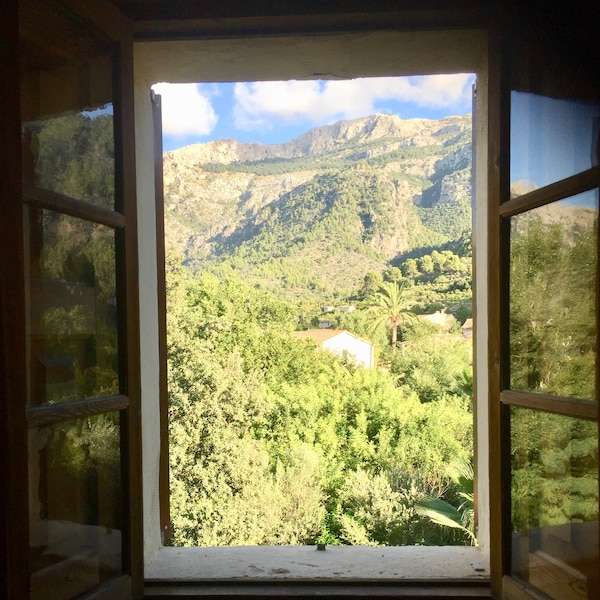 Window Photography - Etsy