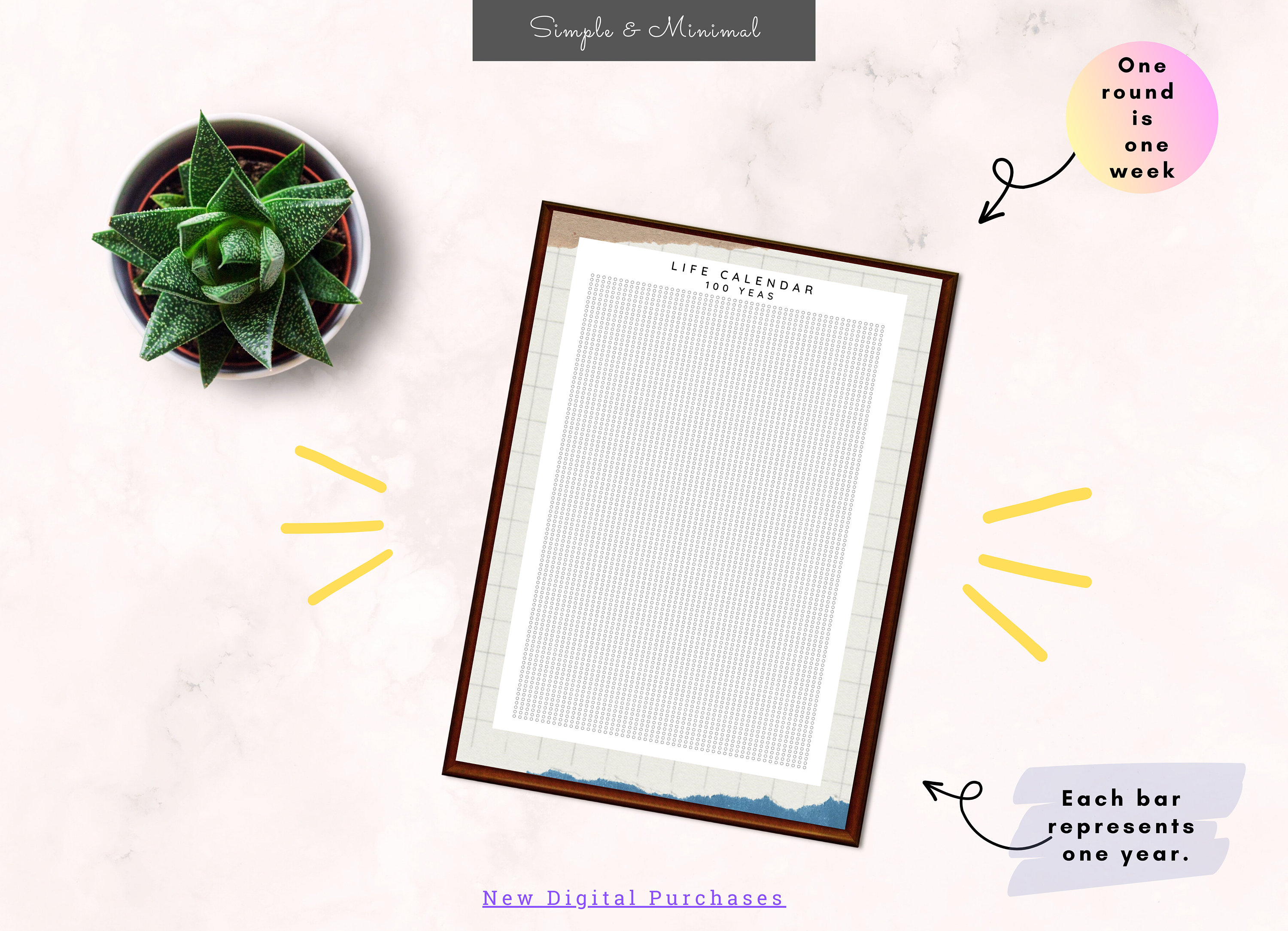Life Calendar / A 100-week-year Human Life in Weeks / Printable Digital ...