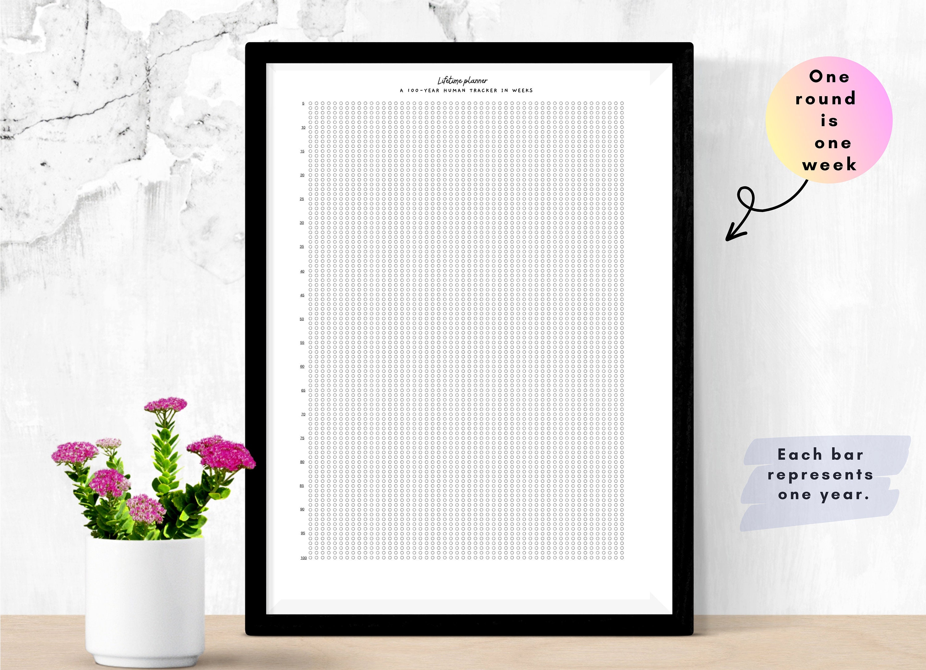 Life Calendar, A 100-week-year Human Life in Weeks, My Life in Weeks ...