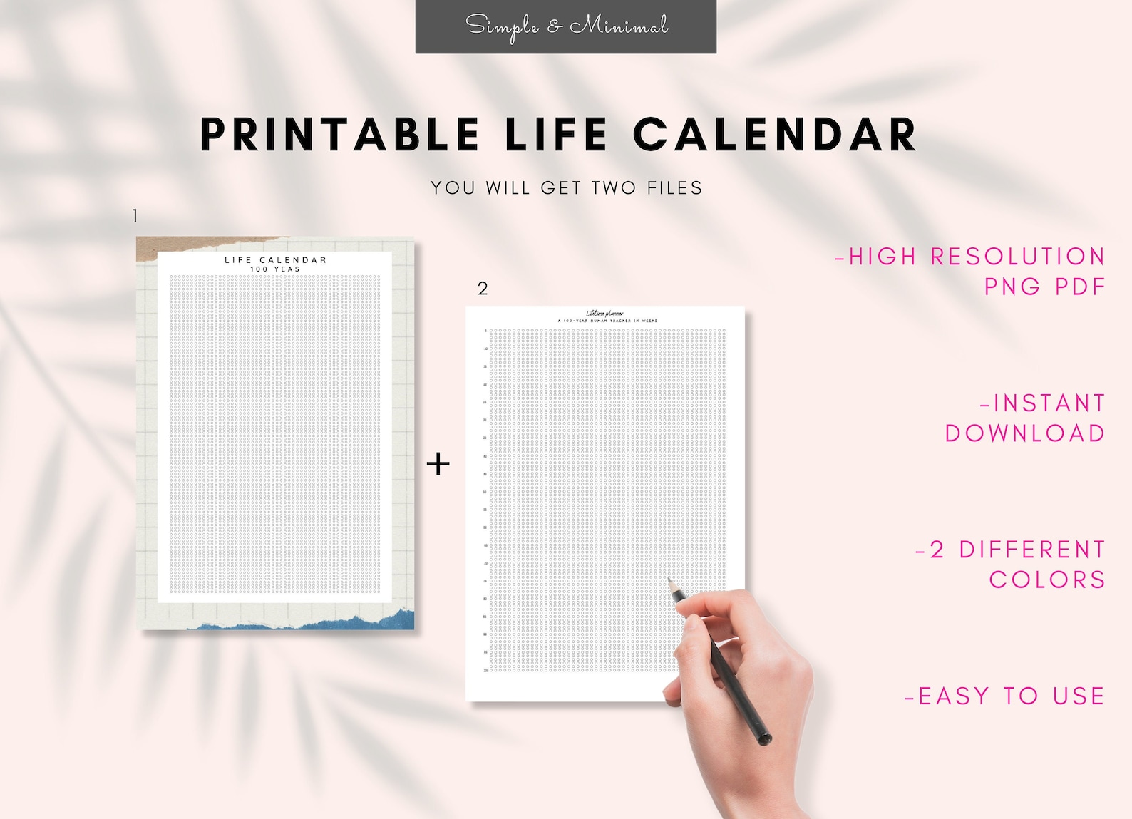 Life Calendar / A 100-week-year Human Life in Weeks / Printable Digital ...