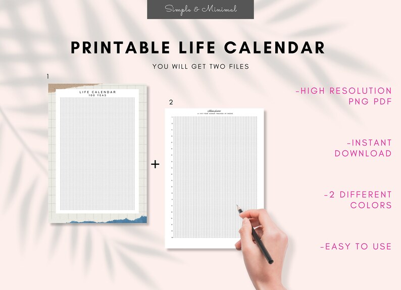 Life Calendar / A 100-week-year Human Life in Weeks / Printable Digital ...