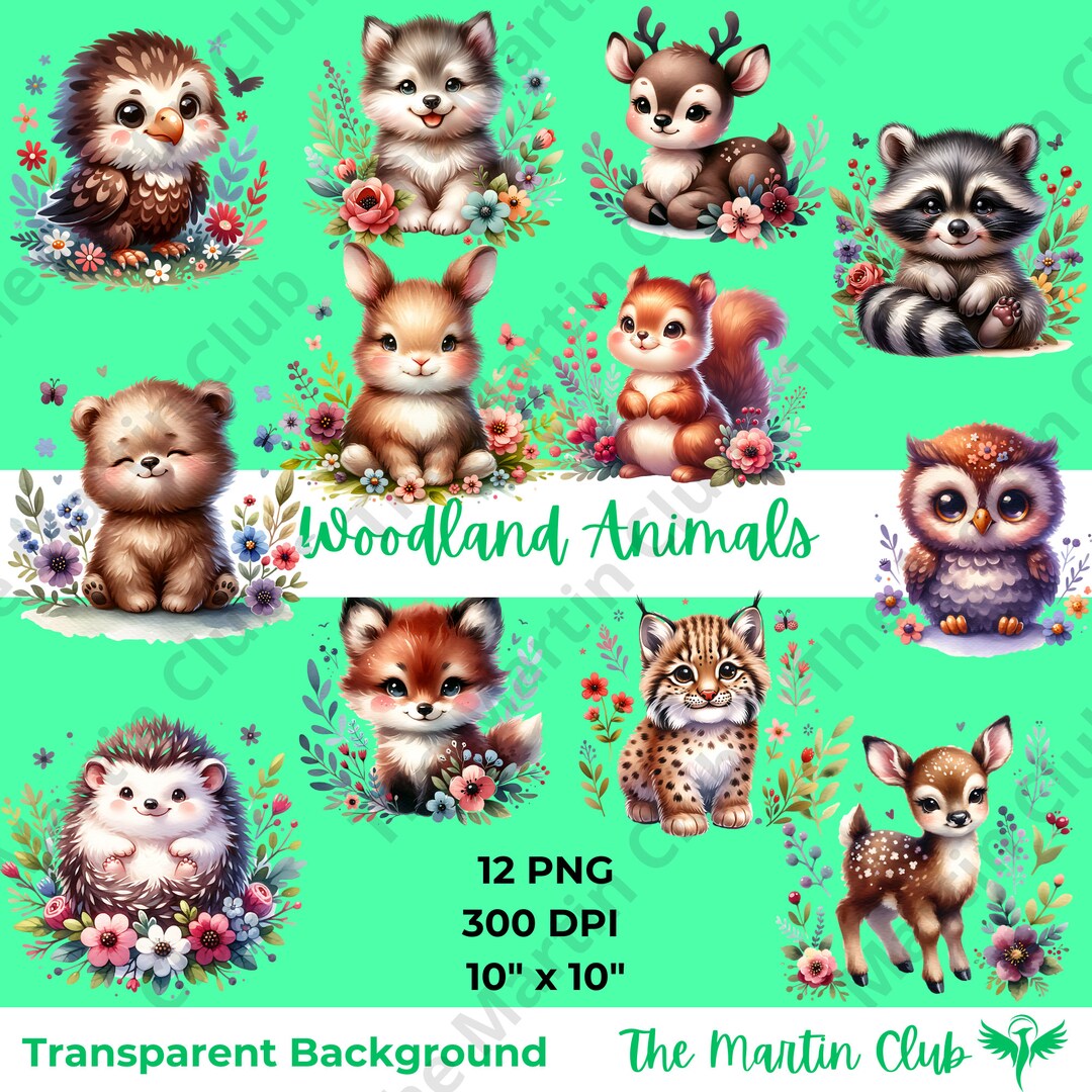 Baby Woodland Animals Clip Art Forest Animals PNG Transparent ...