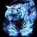 Mystical Tiger, Dark, Vibrant Poster Art (2:3) - Digital Download, High ...